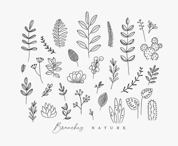 7,601,638 Greenery line art Vector Images | Depositphotos