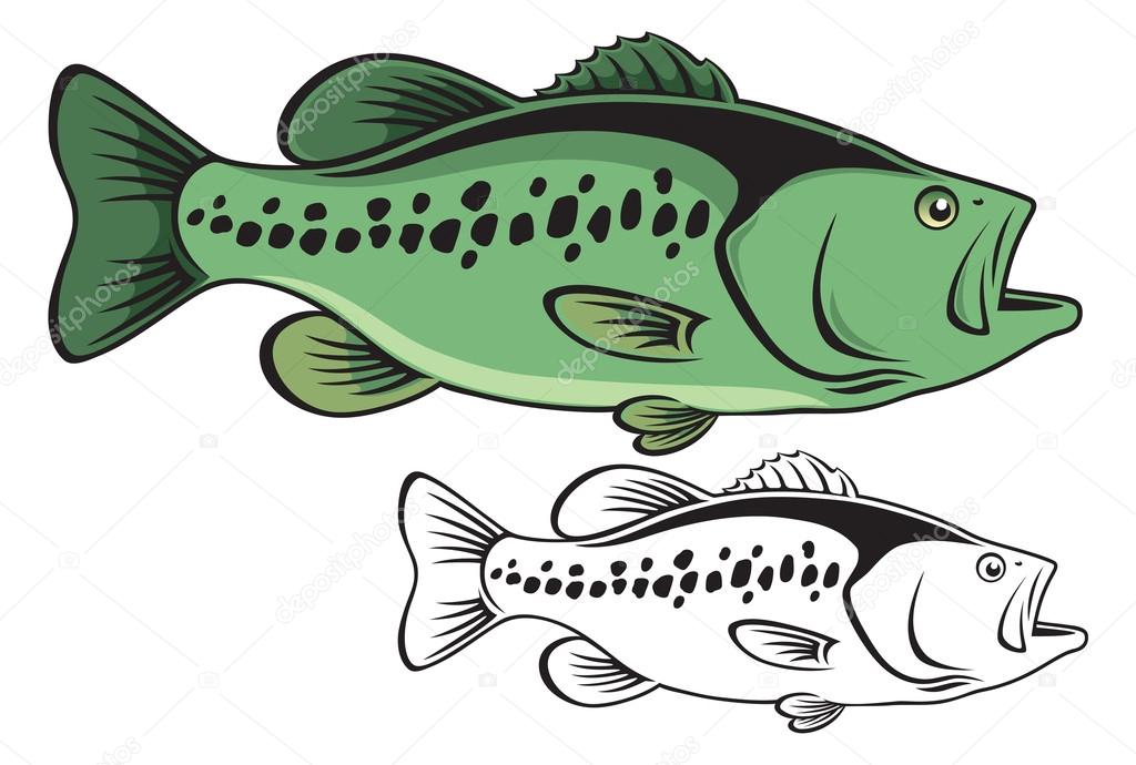 Largemouth bass — Stock Vector © kvasay #54397199