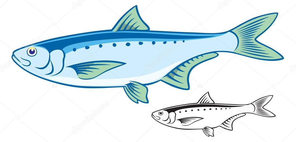 Dibujos Sardina Para Colorear E Imprimir Winchester W - vrogue.co