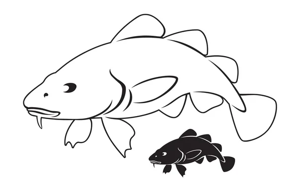 Fish Drawing Outline