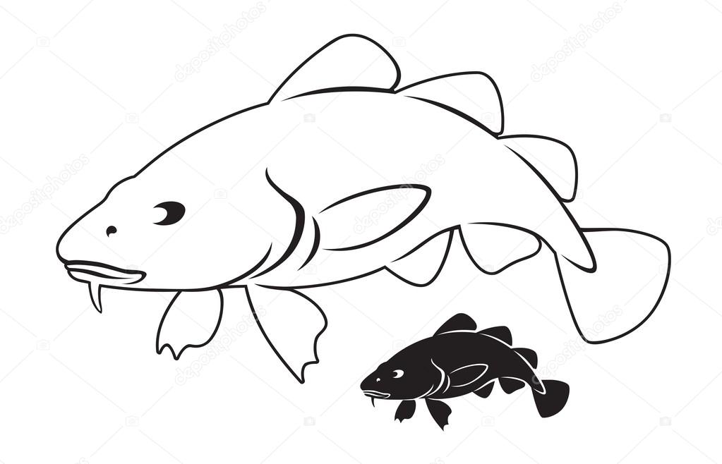 Clipart: cod fish outline | Cod fish outline — Stock Vector © kvasay ...