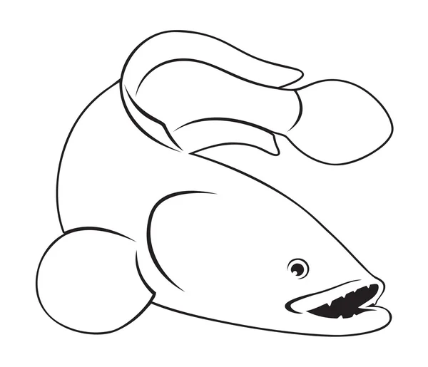 Giant snakehead fish, Royalty-free Giant snakehead fish Vector Images ...