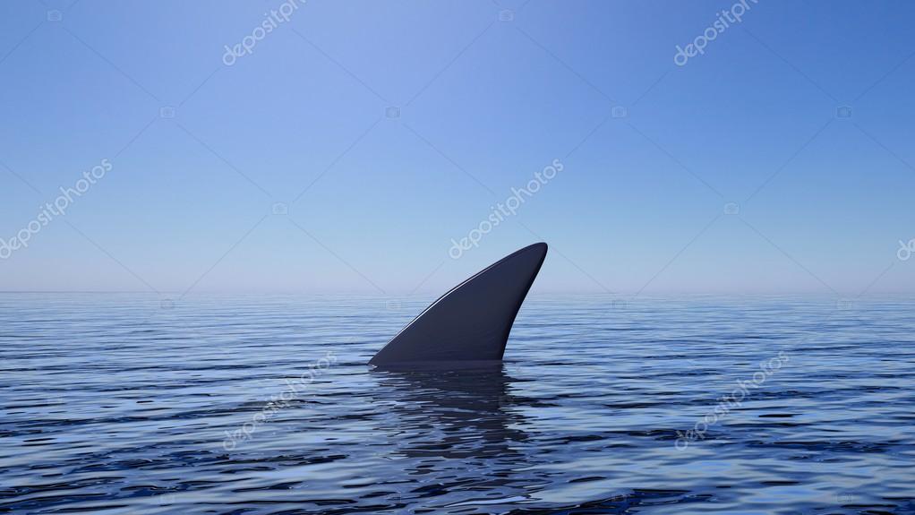 Shark Fins In Water