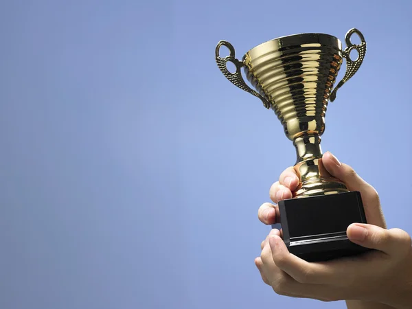 Man holding a trophy Stock Photos, Royalty Free Man holding a trophy ...
