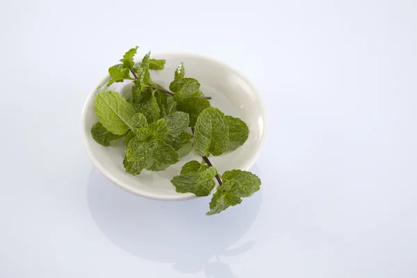 ᐈ Meant to be stock photos, Royalty Free meant images | download on ...