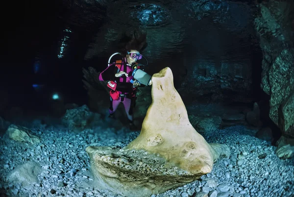 Cave diving woman Stock Photos, Royalty Free Cave diving woman Images ...