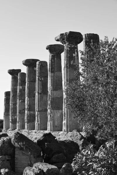 Hercules Temple columns — Stock Photo © agiampiccolo #57300609