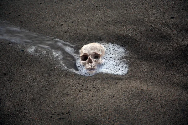 Beach skeleton Stock Photos, Royalty Free Beach skeleton Images ...