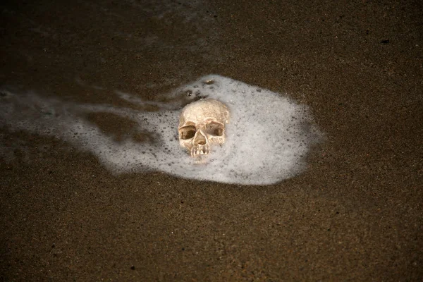 Beach skeleton Stock Photos, Royalty Free Beach skeleton Images ...