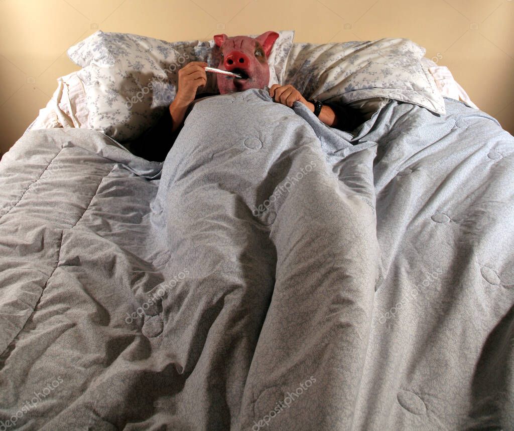 El cerdo tiene un gran termómetro de cocción que representa la pandemia ...