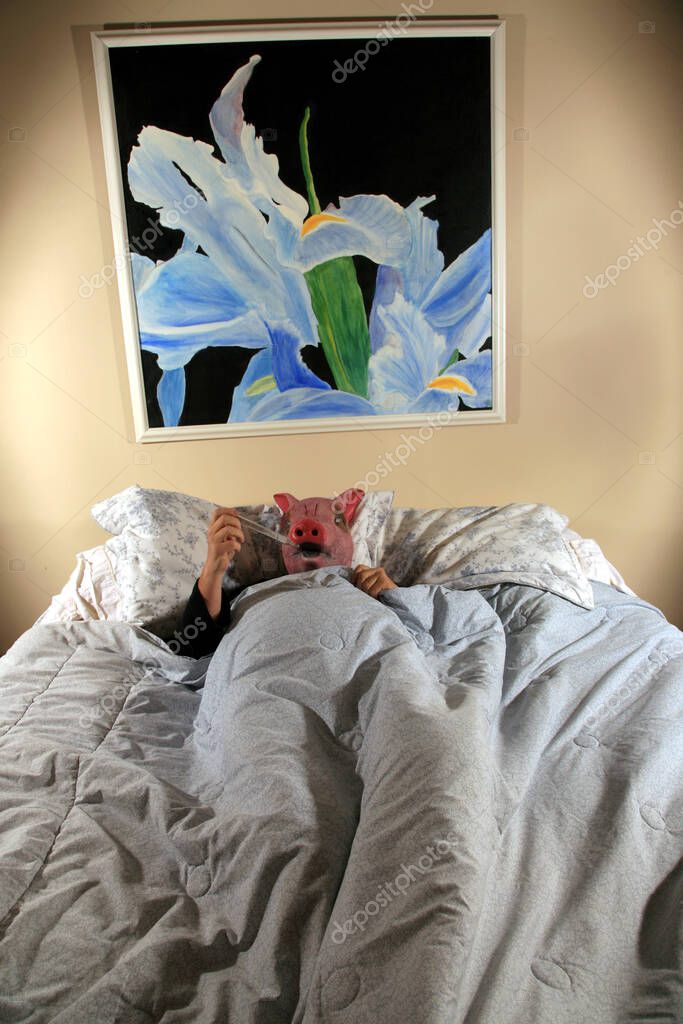 El cerdo tiene un gran termómetro de cocción que representa la pandemia ...