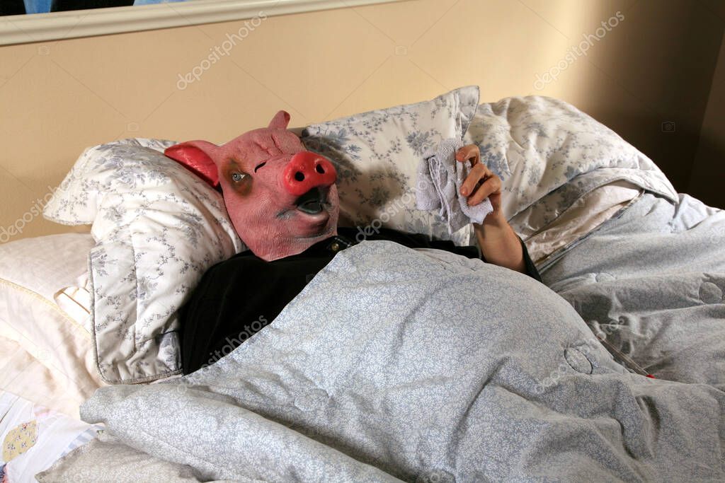 El cerdo tiene un gran termómetro de cocción que representa la pandemia ...