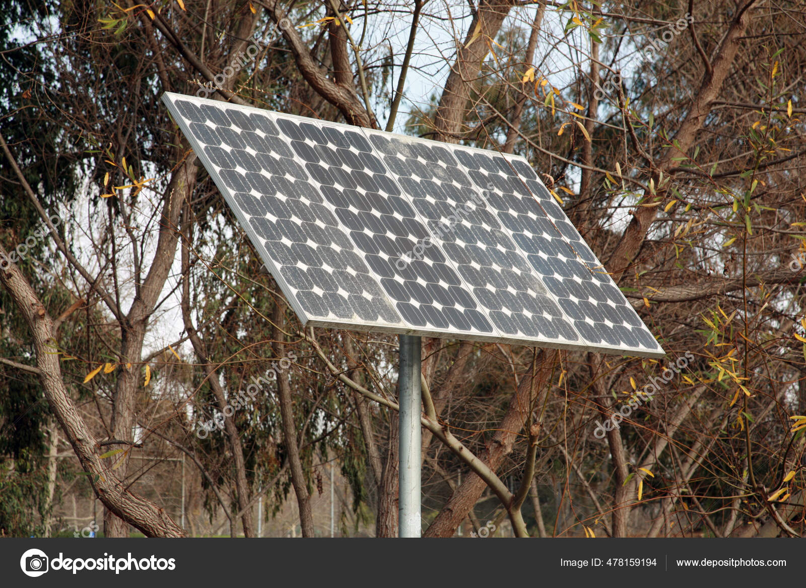 Solar Panels Solar Panels Reflecting Sun Solar Panels Generating ...