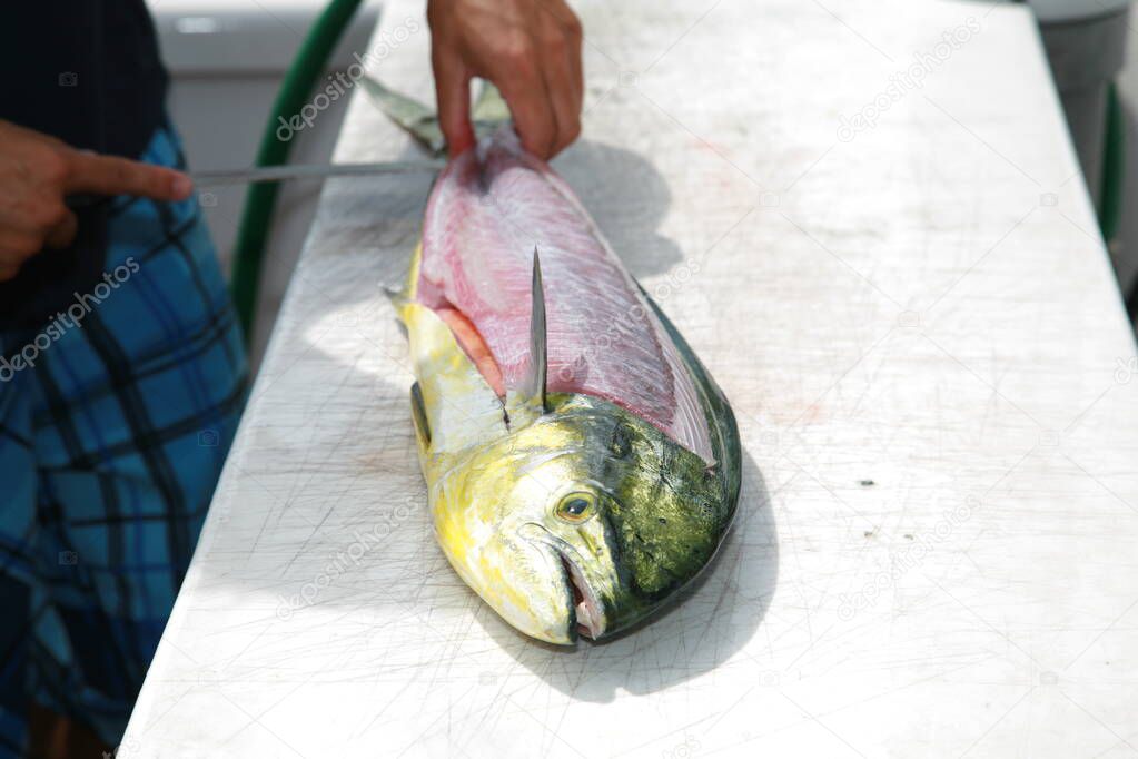 Pescado. Hawaiian Fish. Peces hawaianos exóticos. Pescado fresco ...