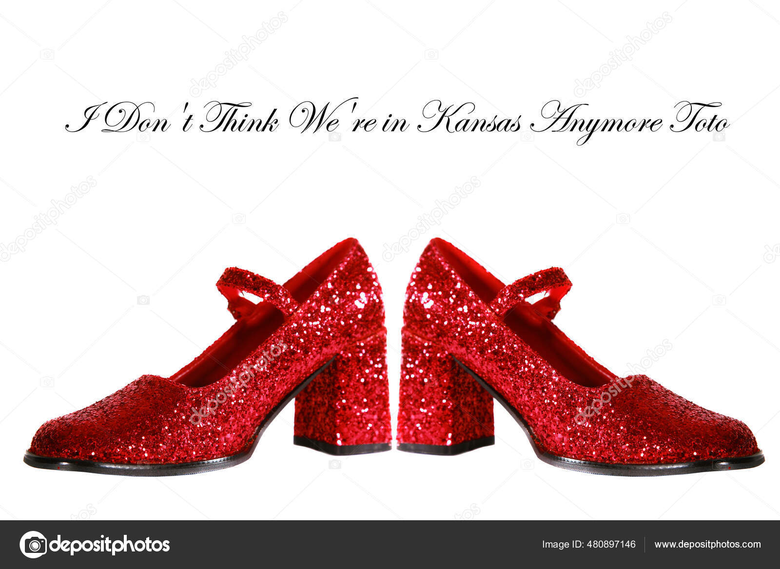 Ruby Slippers Drawing