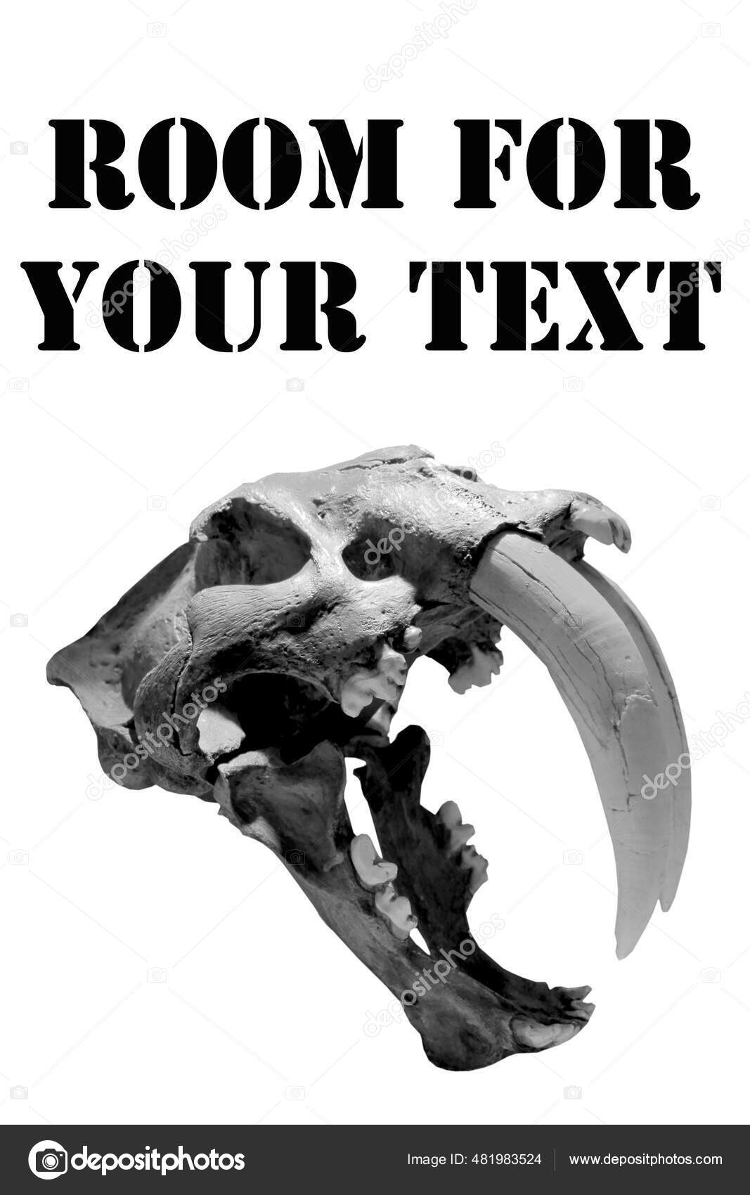 Saber Tooth Tiger Skull Mask