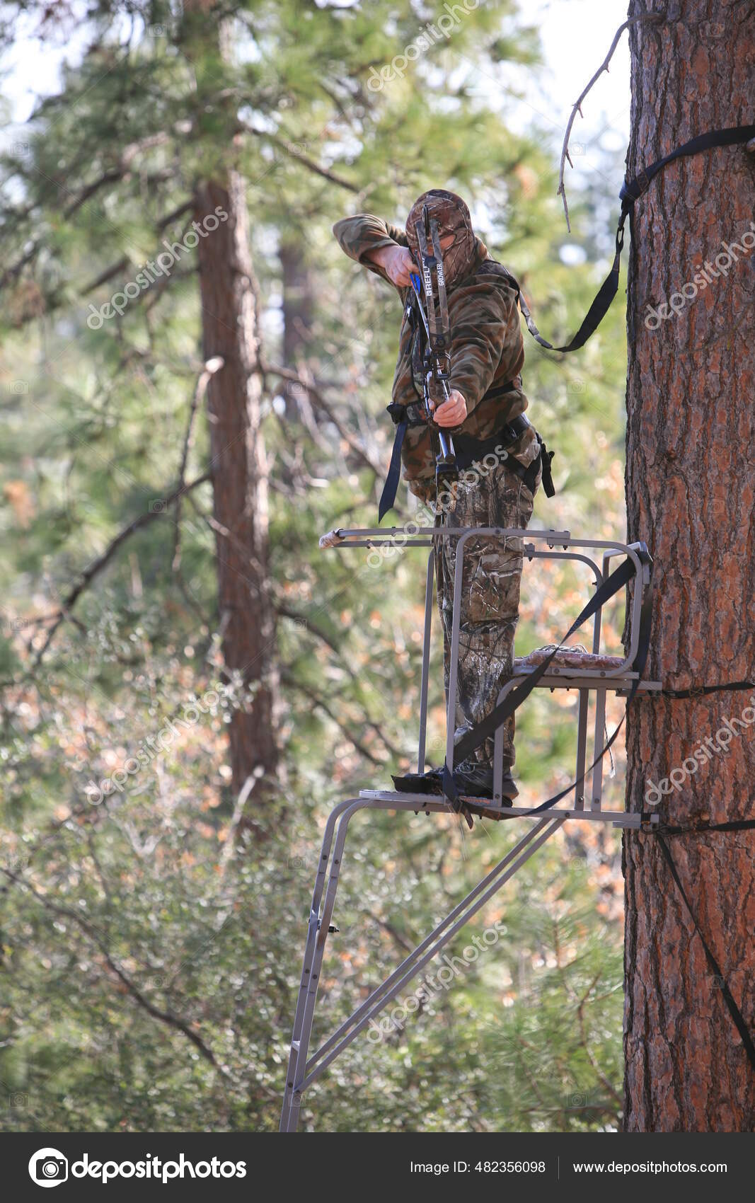 Bow Hunter In Tree Stand