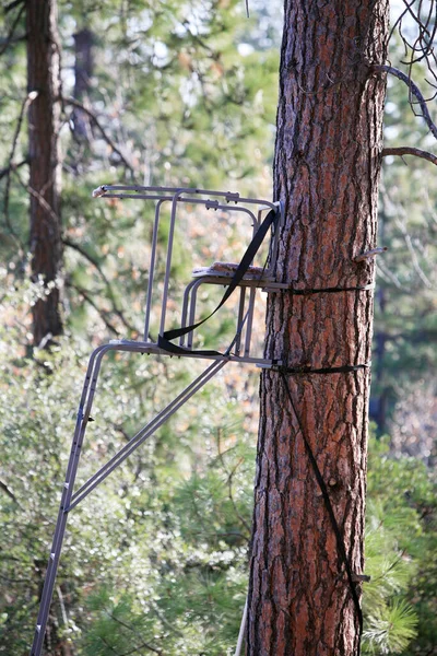 Bow hunting Stock Photos, Royalty Free Bow hunting Images | Depositphotos