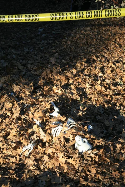 Metade restante Stock Photos, Royalty Free Metade restante Images ...