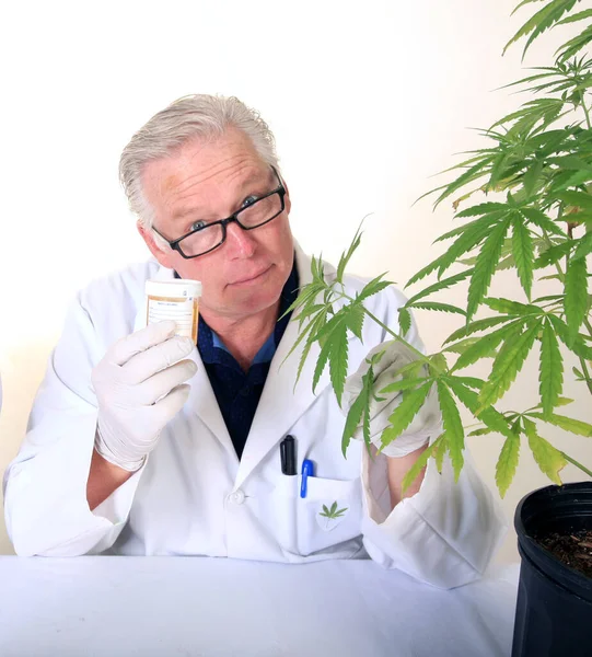 Marijuana medicinal Stock Photos, Royalty Free Marijuana medicinal Images | Depositphotos