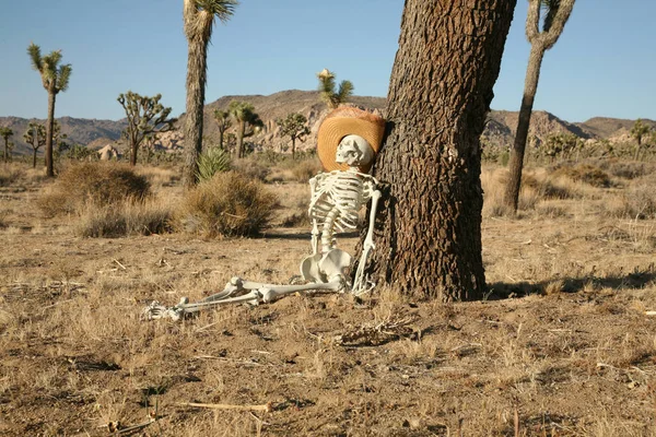 Could valley Stock Photos, Royalty Free Could valley Images | Depositphotos