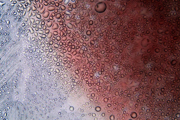 Glass under a microscope Images - Search Images on Everypixel