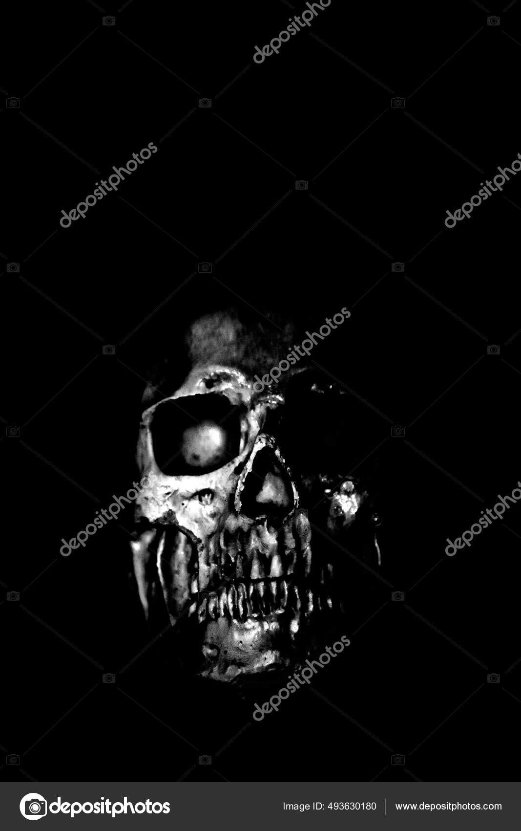 Human Skull Halloween Scary Spooky Halloween Human Skull Spooky ...