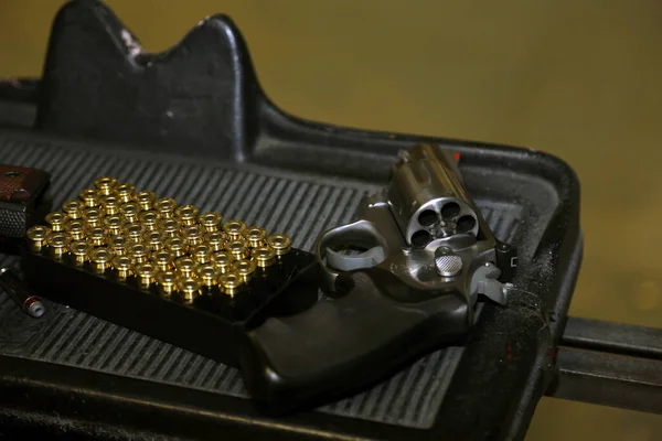 Carga do focinho Stock Photos, Royalty Free Carga do focinho Images ...