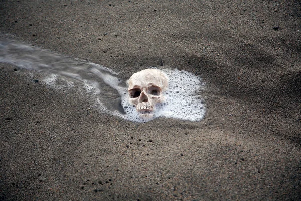 Beach skeleton Stock Photos, Royalty Free Beach skeleton Images ...