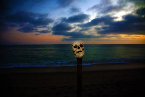 Pike skeleton Stock Photos, Royalty Free Pike skeleton Images ...