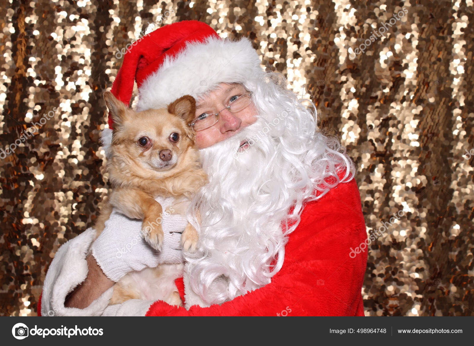Santa Claus Santa Claus Poses Dog Christmas Photo Shoot Gold — Stock ...
