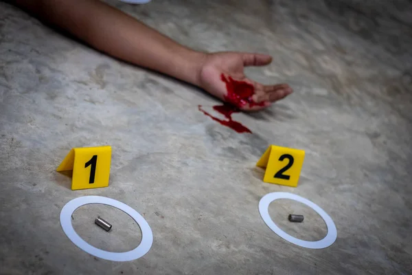 Forensic Inspector Highlighting Shells Gun Crime Scene Stock Photo by ...