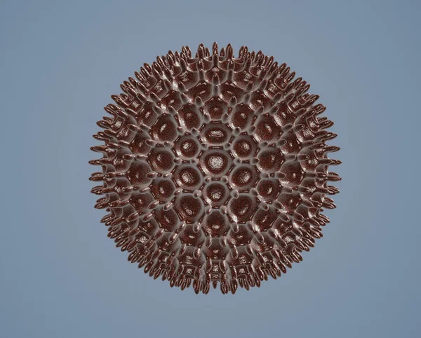 Pollen microscope Stock Photos, Royalty Free Pollen microscope Images ...