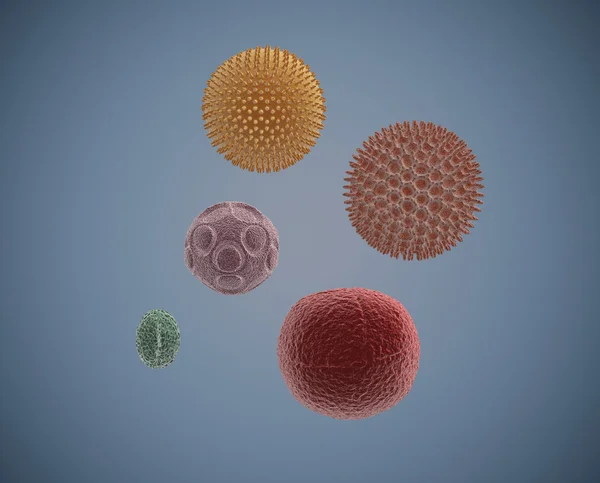 Pollen microscope Stock Photos, Royalty Free Pollen microscope Images ...