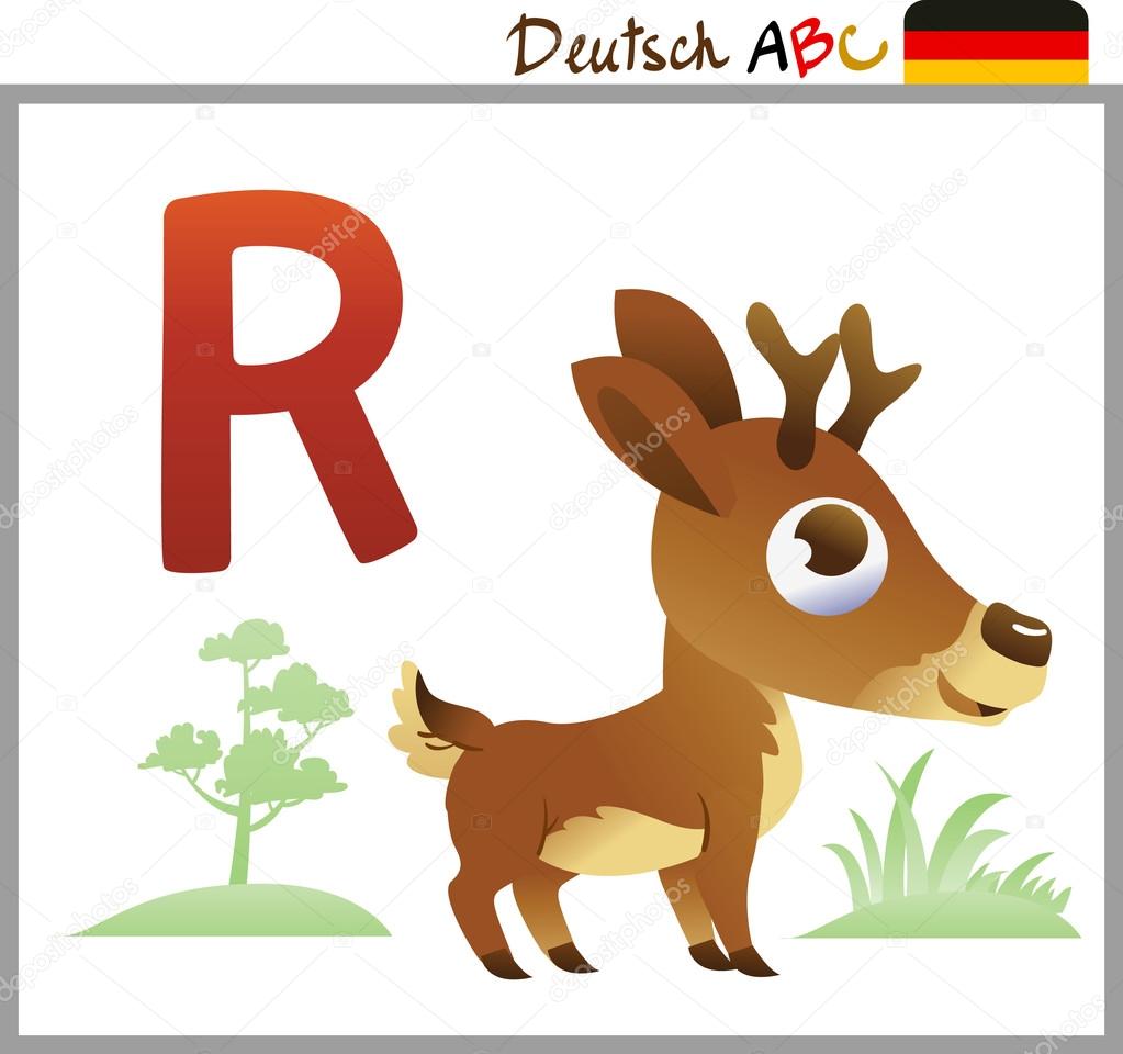 Deutsch oder Deutsch-Zoo-Tier-Alphabet für die Kinder: R — Stockvektor ...