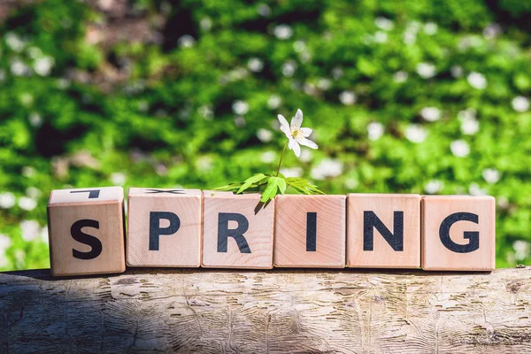 Winter vs spring Stock Photos, Royalty Free Winter vs spring Images ...