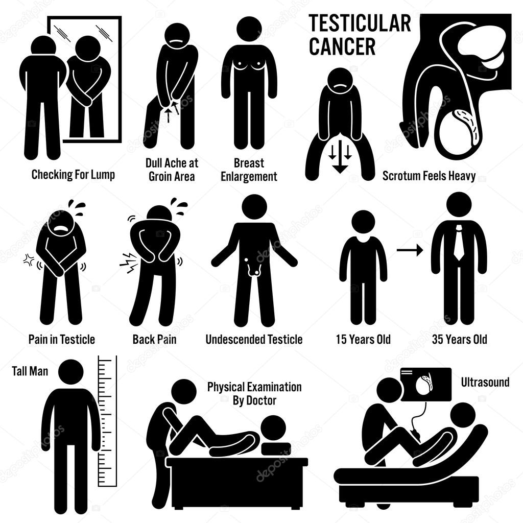 Testicular Testicles Testes Cancer Symptoms Causes Risk Factors