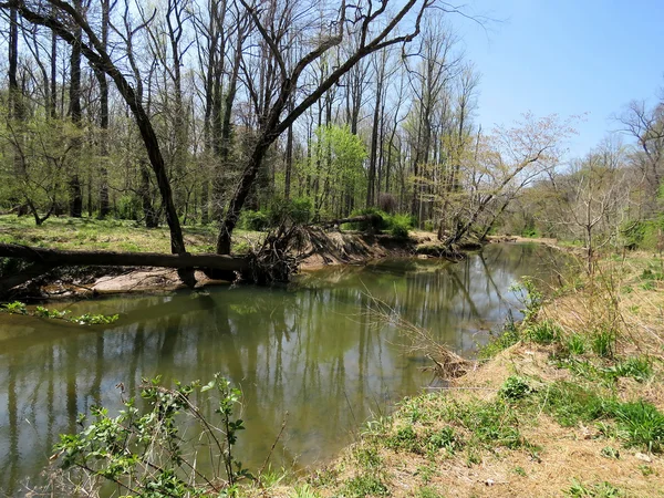Nature park scenery in spring — Stock Photo © ensiferum #2477330