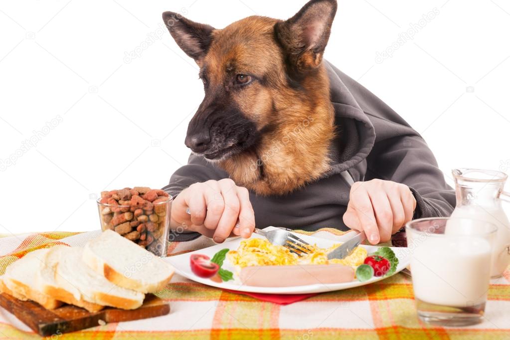 Dogs With Human Hands