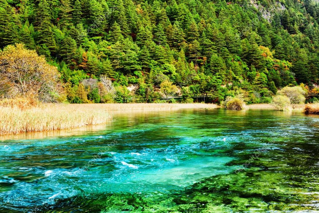 River with azure crystal clear water among evergreen woods Stock Photo ...
