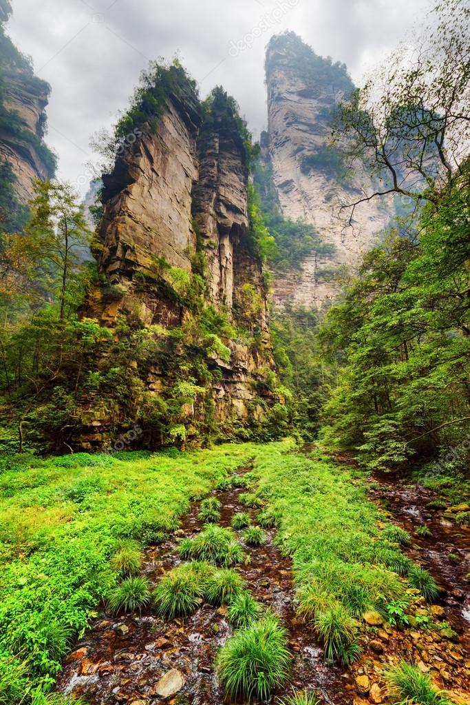 Amazing view of steep cliffs among green woods and creeks Stock Photo ...