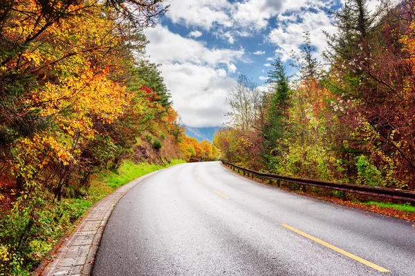 Fall road Stock Photos, Royalty Free Fall road Images | Depositphotos