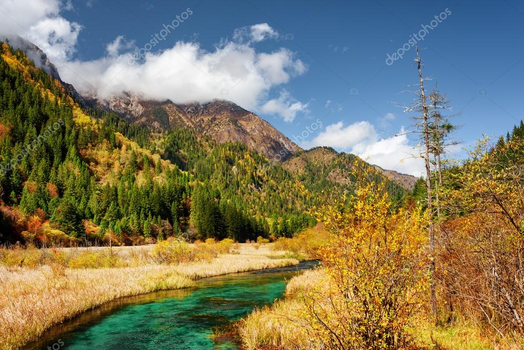 Beautiful green river with crystal clear water among fall fields ...