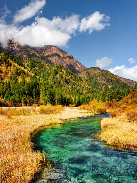 Beautiful green river with crystal clear water among fall fields ...