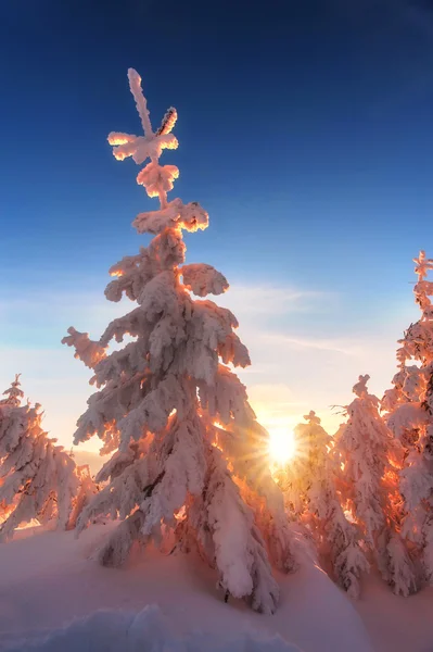 Sunshine over snow Stock Photos, Royalty Free Sunshine over snow Images ...