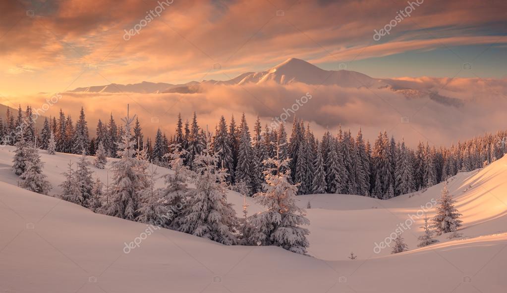 Landscape close up Stock Photo by ©Ivankmit 88969692