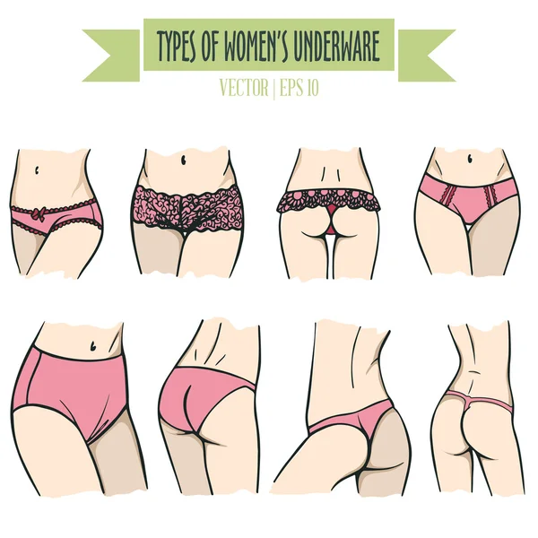 Premium Vector Types Of Female Panties For Substitution Of