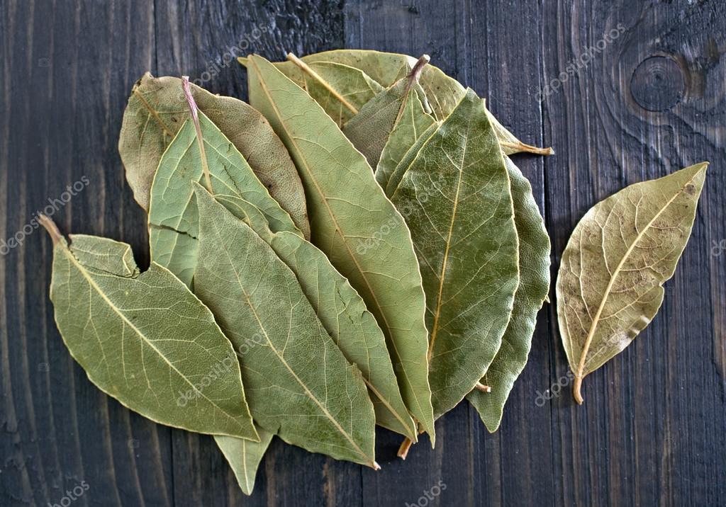 Laurel leaves — Stock Photo © tycoon #56575625