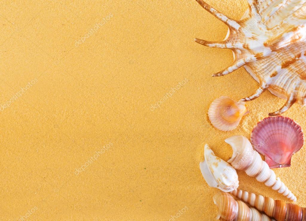 Yellow sand and sea shels Stock Photo by ©tycoon 65141831