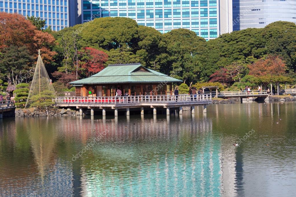 Hojas de otoño en Hamarikyu Gardens, Tokio 2025
